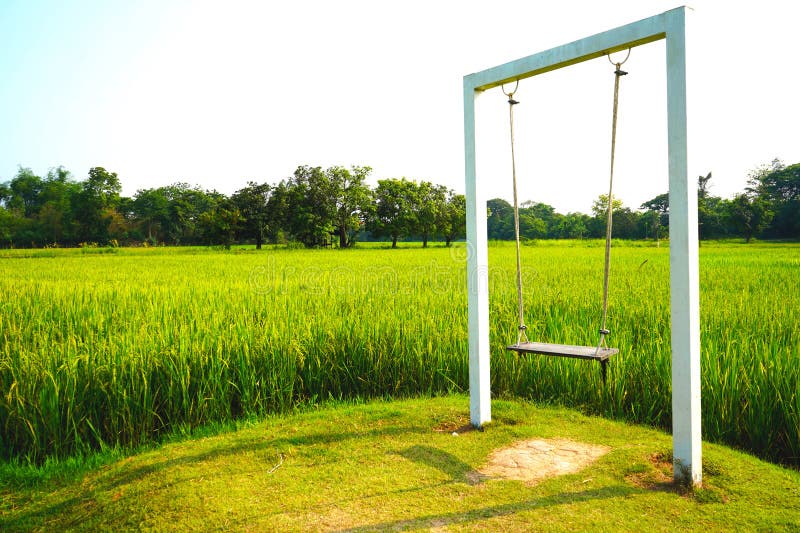 Visit a Cafe in the Middle of a Rice Field-1 Stock Image - Image of ...