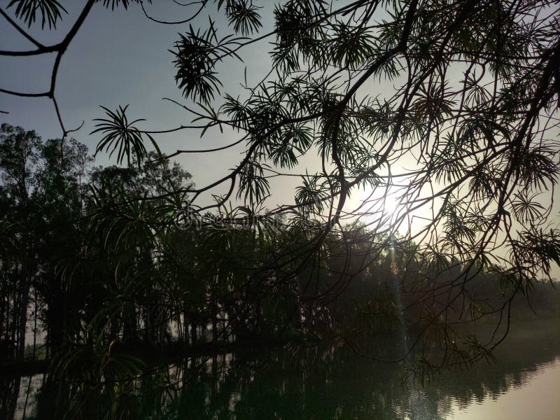 Visit To a Local Place during the Sunset Time Stock Photo - Image of ...