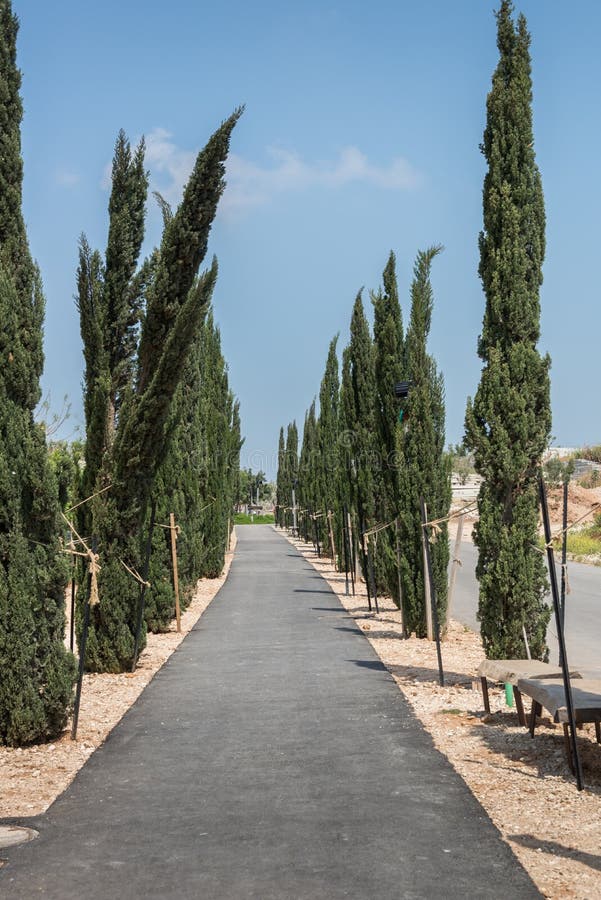 Visita a Hiriya (parque De Ariel Sharon) Imagem de Stock - Imagem de ...
