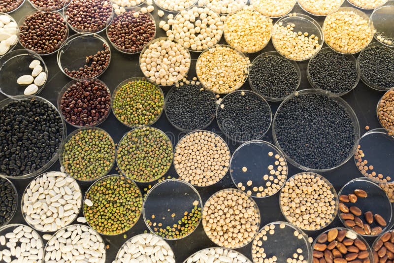 Visiting Bloomfield Science Museum Jerusalem Editorial Stock Photo ...