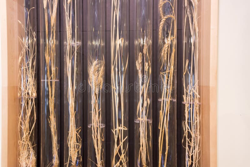 Visiting Bloomfield Science Museum Jerusalem Editorial Stock Image ...