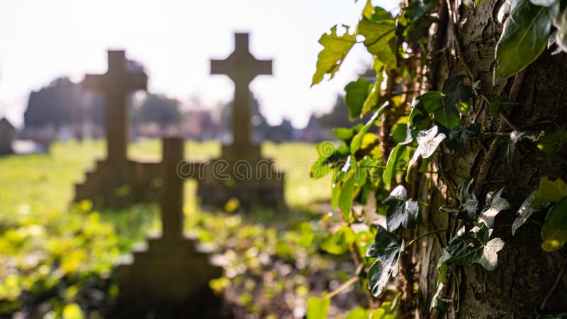 Visiting Graves in a Graveyard with Three Graves Sh Stock Photo - Image ...