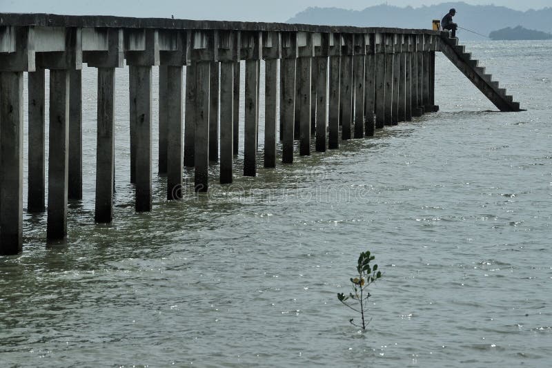 People and objects stock photo. Image of group, fishing - 254866340