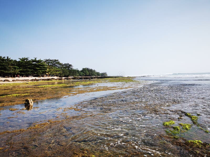 South Java Beach stock image. Image of beatiful, pandurata - 193914477