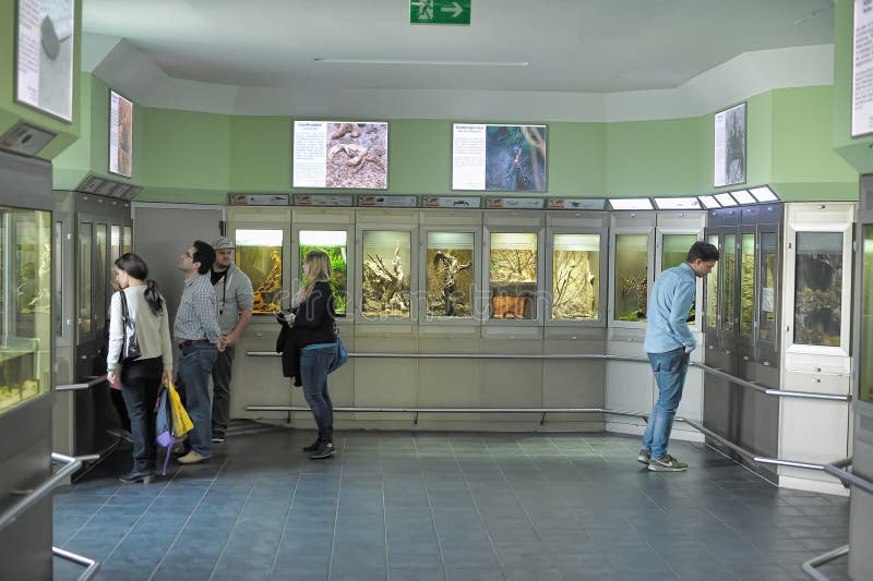 Visitors at the Exhibition of Insects Editorial Image - Image of ...