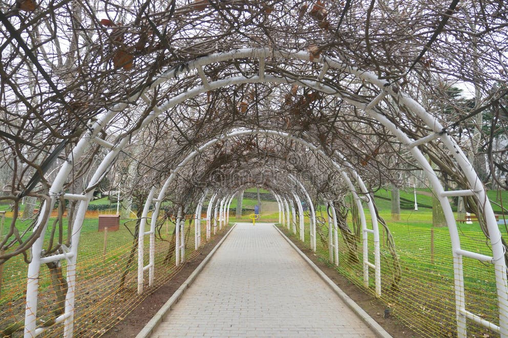 Pathway through a Vine-covered Archway in a Public Park Stock Photo ...
