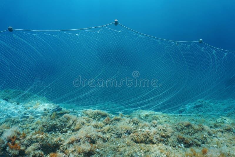 Visnet Onderwater Een Haringnet Middellandse Zee Stock Foto - Image of ...