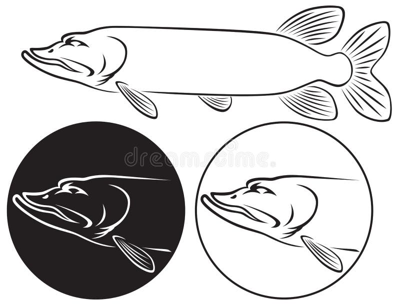 Snoeken Stock Illustrations, Vectors, & Clipart – (8,973 Stock ...