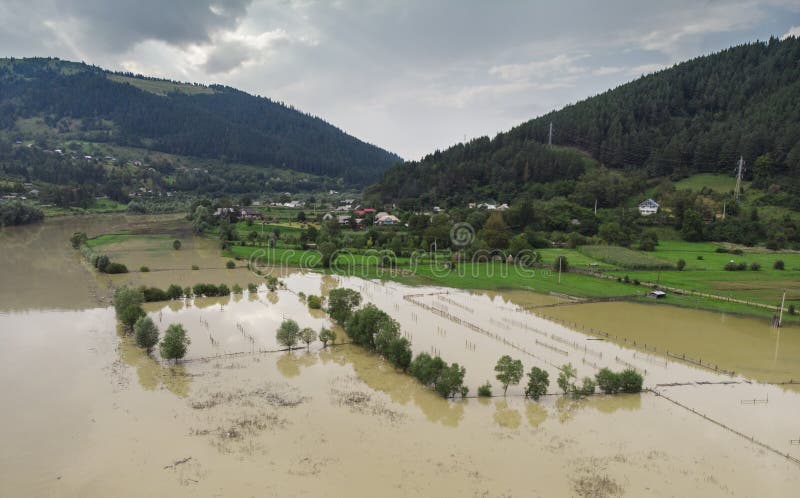 Vista Aérea Del Jardín Inundado Imagen de archivo - Imagen de ...