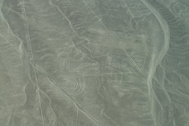 Vista Aérea De La Orca O Geoglifo De La Ballena Asesina En Las Líneas