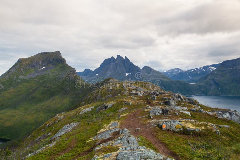 Vista Da Montanha De Segla, Noruega Imagem de Stock - Imagem de turismo ...