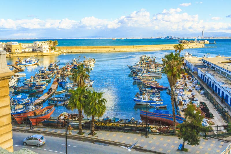 Argel, capital de Argelia imagen de archivo. Imagen de palma - 78794389