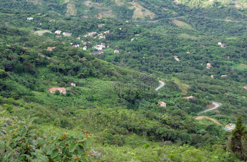 Vista De Yungas - Chulumani, Bolivia Imagen de archivo - Imagen de ...