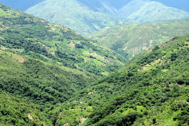 Vista De Yungas - Chulumani, Bolivia Imagen de archivo - Imagen de ...