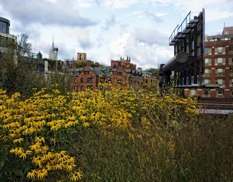 La Passeggiata Di Highline a Penombra in Chelsea Manhattan, New York ...