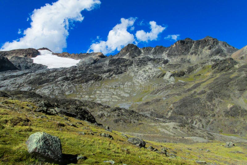 Montagne Valle E Alpaca Delle Ande Immagine Stock - Immagine di fleece ...