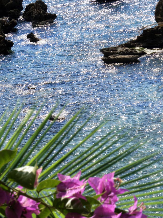 Vista Elevada Del Mar Claro Del Agua Imagen de archivo - Imagen de ...