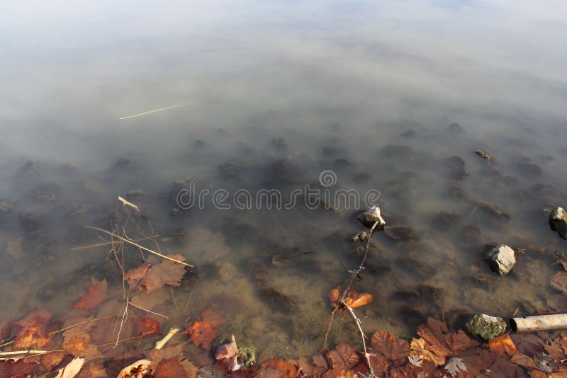 Vista Em Um Lago Com Rochas E As Folhas Submersas Foto de Stock ...