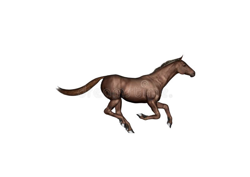 Vista Lateral Del Caballo De Brown Stock de ilustración - Ilustración ...