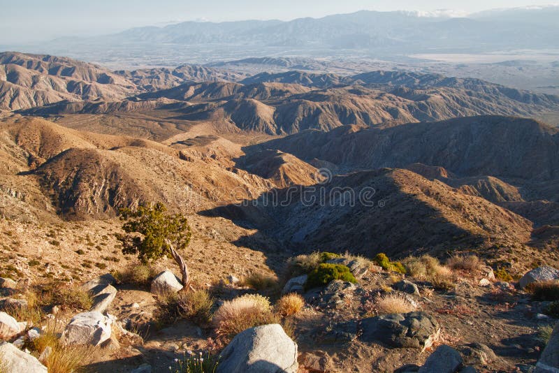Vista Point View of the Joshua Tree National Park Stock Photo - Image ...