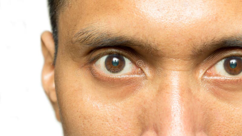 Vista Profundamente Com Um Olhar Afiado Foto de Stock - Imagem de ...