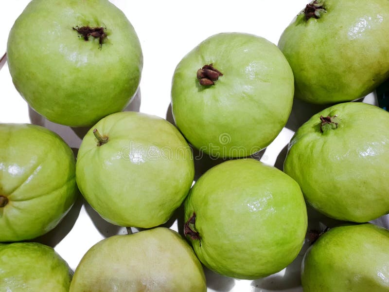 Vista Superior Das Folhas De Goiaba Isolada Sobre Fundo Branco Imagem ...