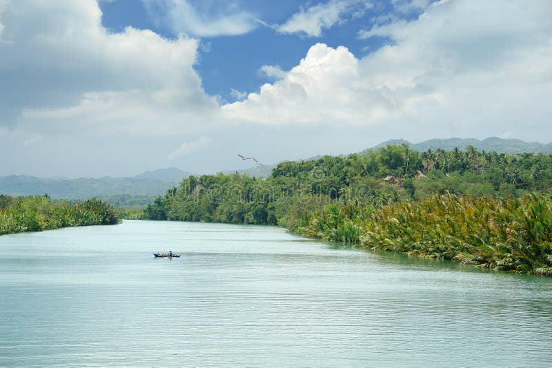 Vista of Wide Tropical Stream Stock Image - Image of panorama, leisure ...