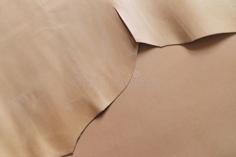 Visual Comparison of Various Shades of Beige Leather, Highlighting the ... Visual Comparison of Various Shades of Beige Leather, Highlighting the ...