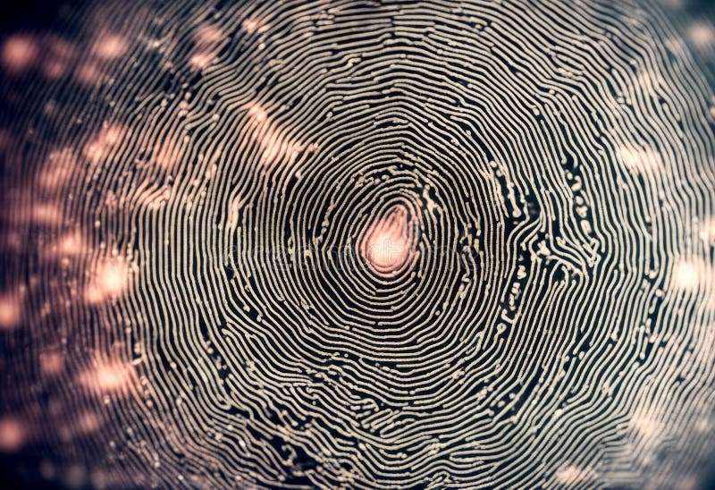 Visual Fingerprint Process Software Capture Futuristic Pattern Access ...
