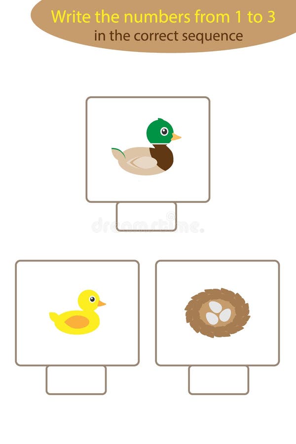 Visual Game with Duck Life Cycle for Kids, Educational Task for the ...