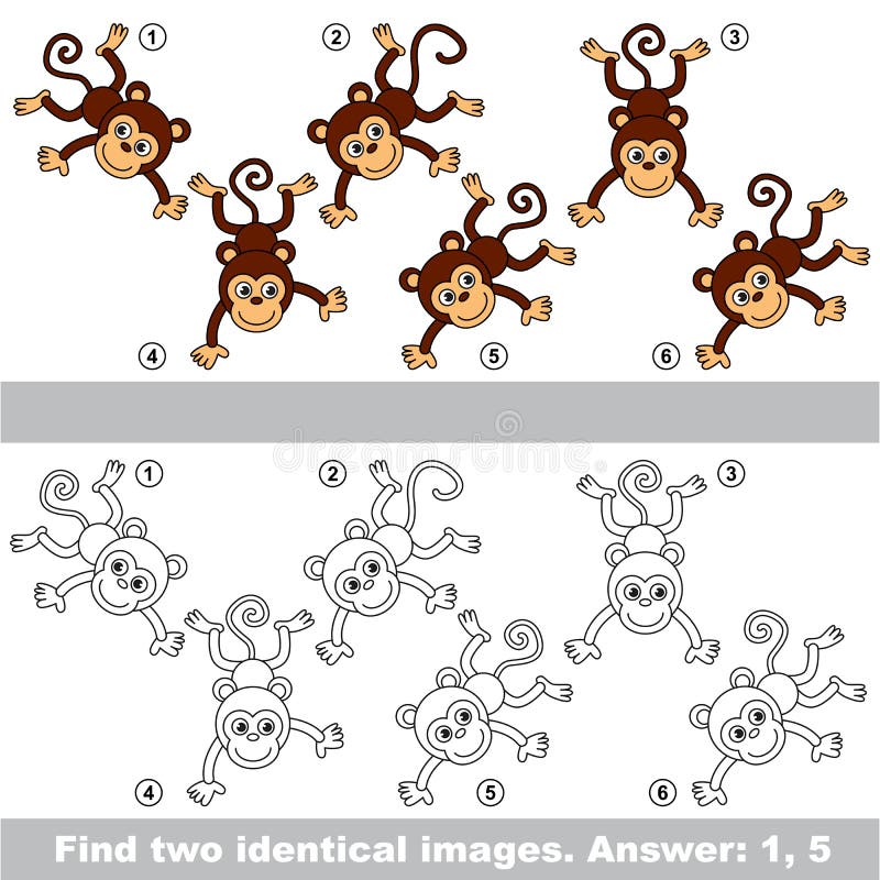 Visual Game. Find Hidden Couple of Monkey. Stock Vector - Illustration ...