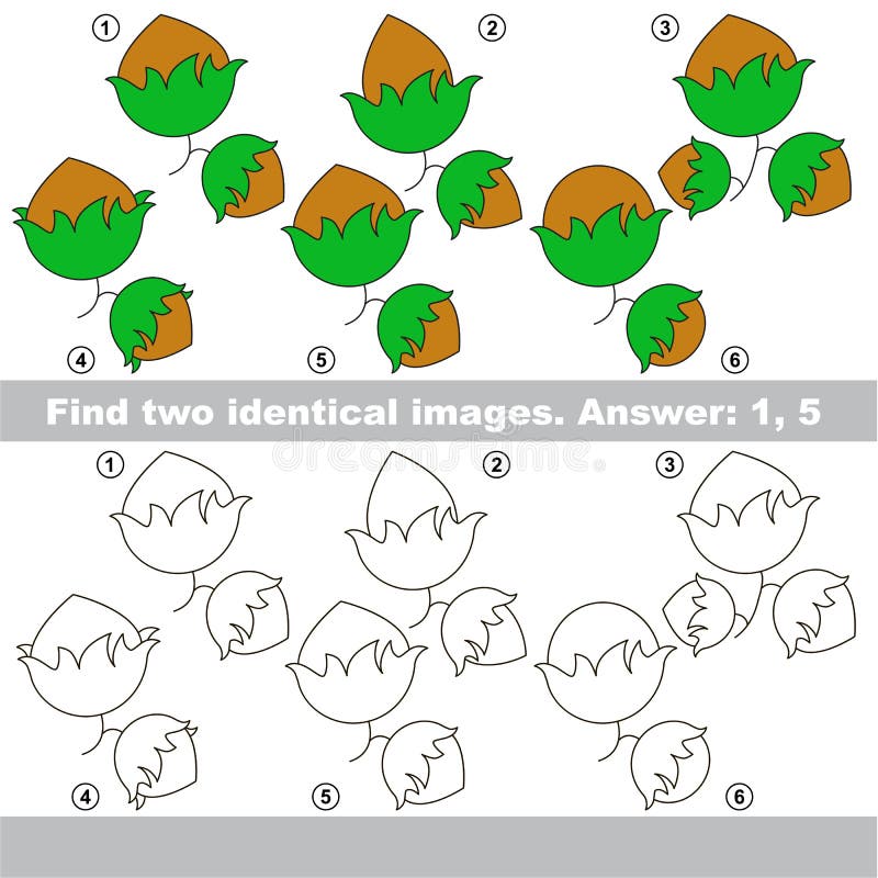 Visual Game. Find Hidden Couple of Objects. Stock Vector - Illustration ...