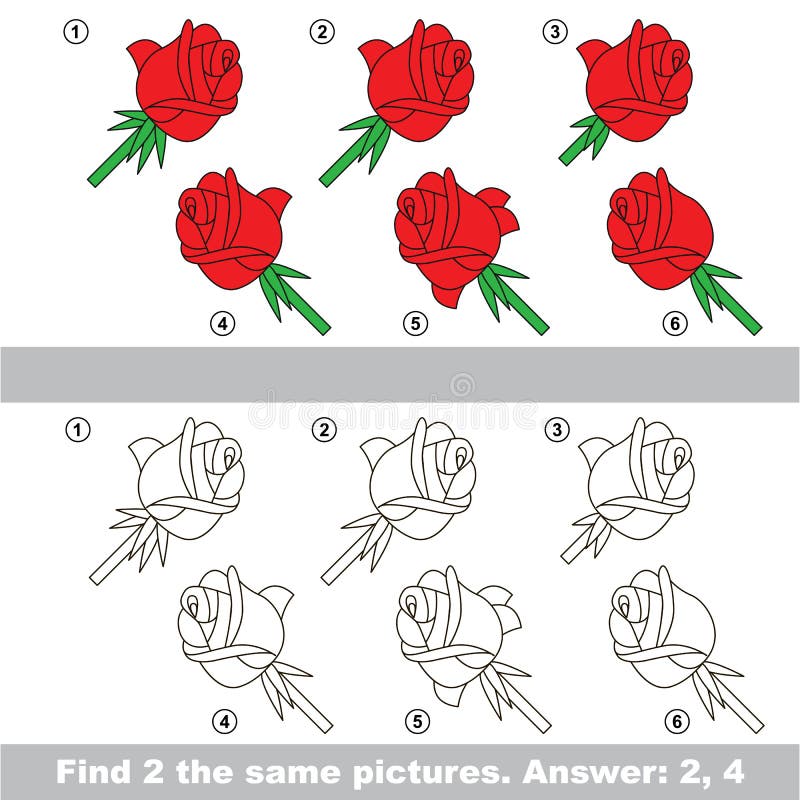Visual Game. Find Hidden Couple of Roses Stock Vector - Illustration of ...