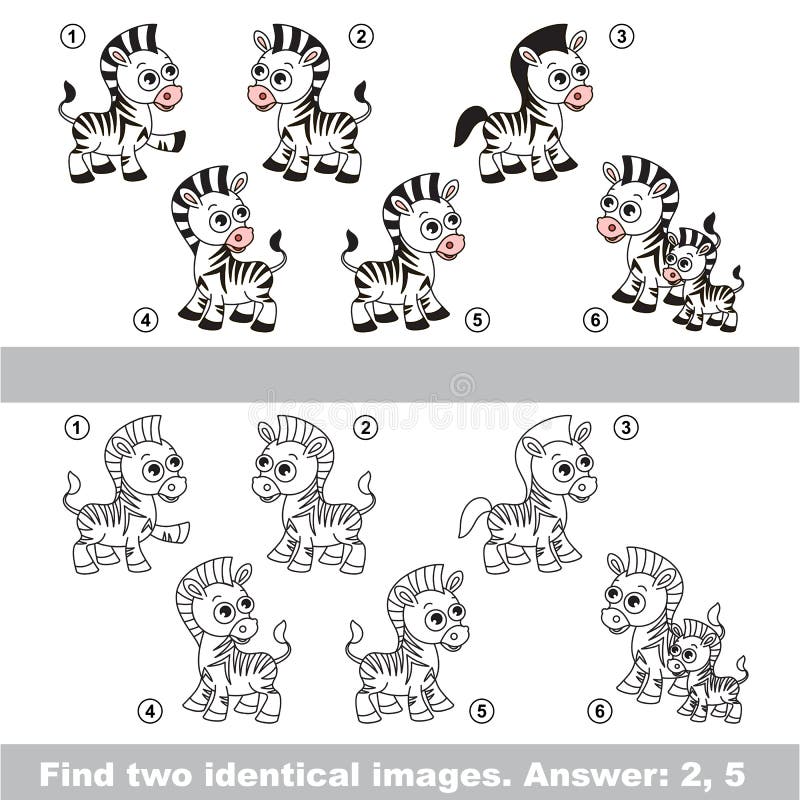 Visual Game. Find Hidden Couple of Zebras. Stock Vector - Illustration ...