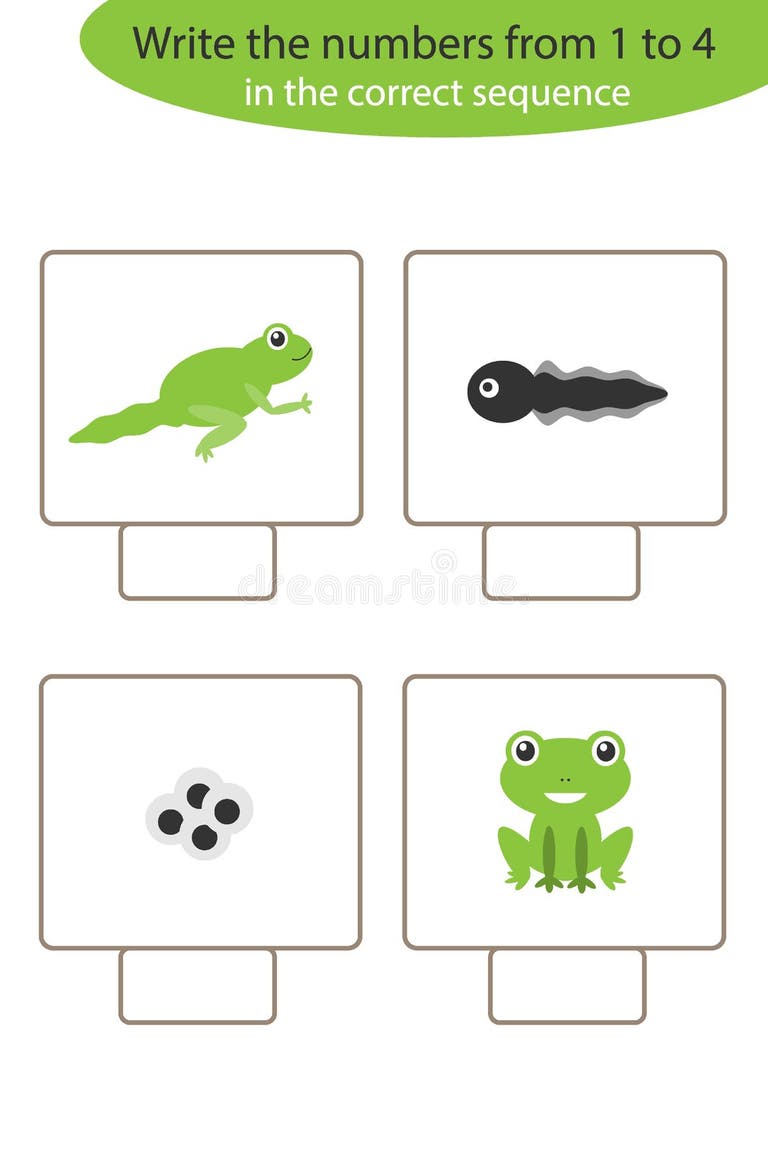 Cycle Educational Visual Stock Illustrations – 1,114 Cycle Educational ...