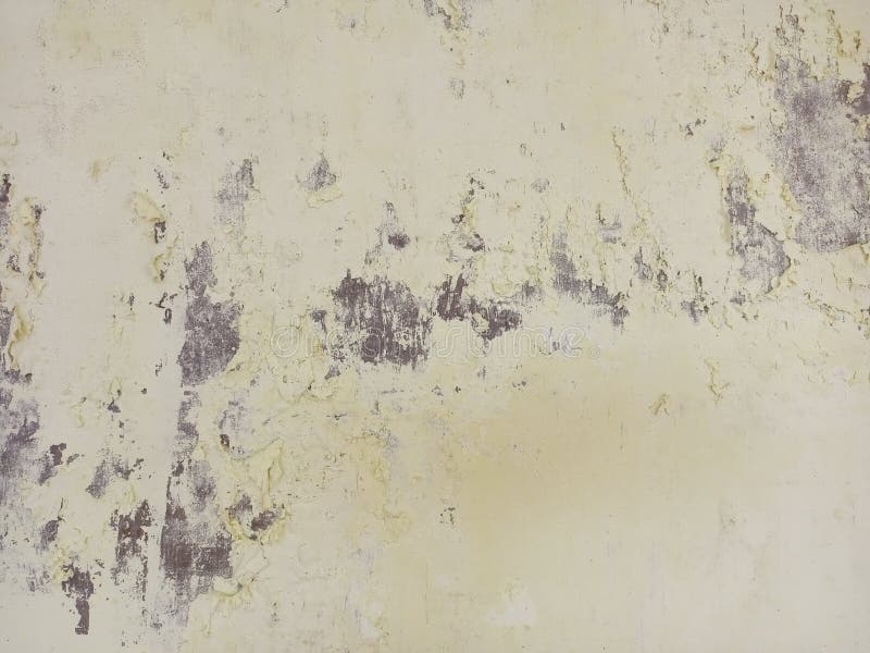 Visual Journey through the Layers of a Weathered Wall Stock Photo ...