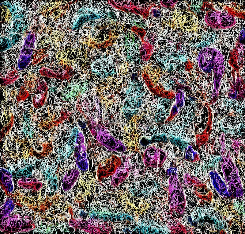 A Visual Journey into the World of Intricate Patterns and Captivating ...