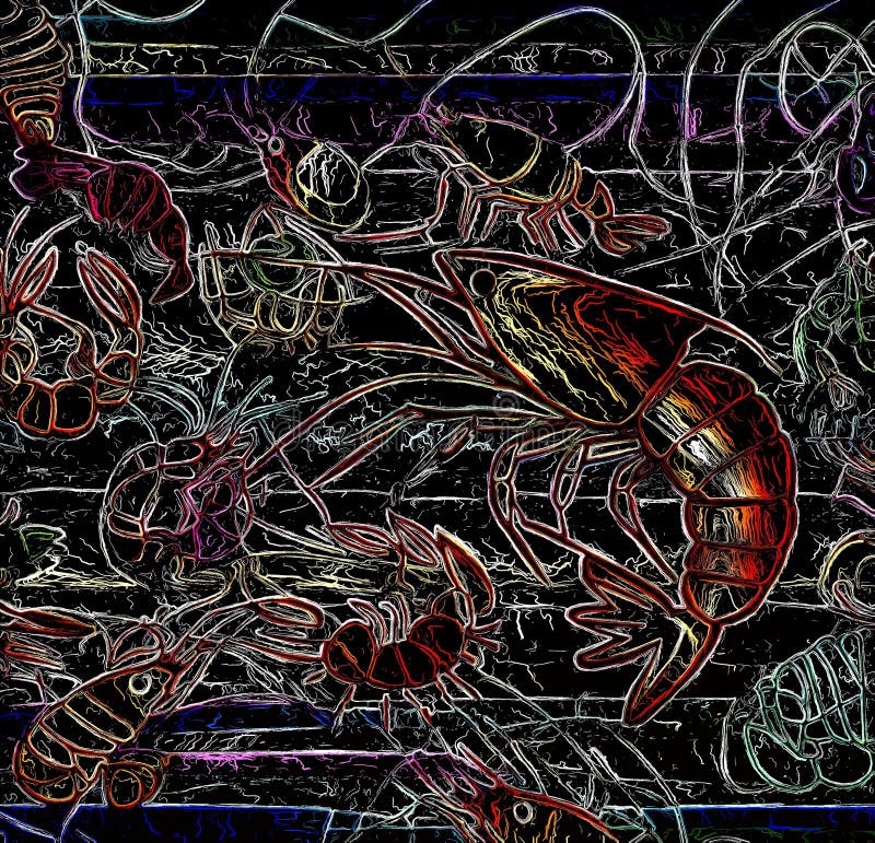 A Visual Journey into the World of Intricate Patterns and Captivating ...