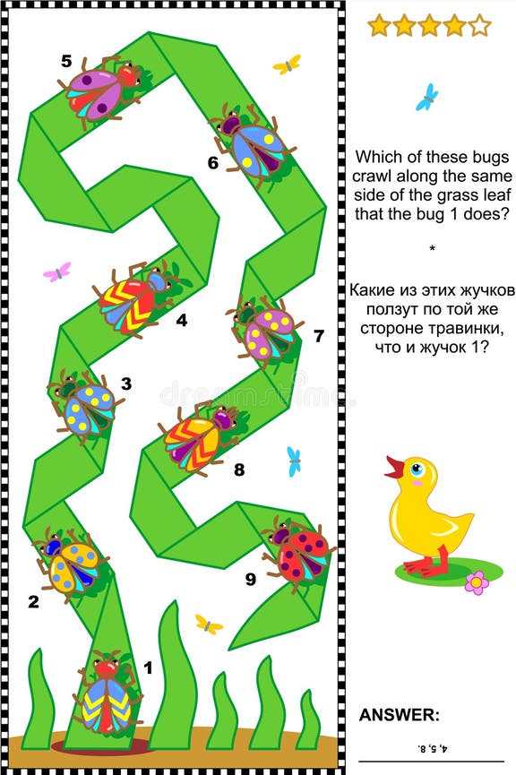 Visual Puzzle with Beetles and Bugs Stock Vector - Illustration of ...