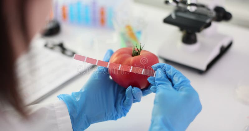 Visual Quality Control of Tomatoes Using a Color Scale in Laborator ...