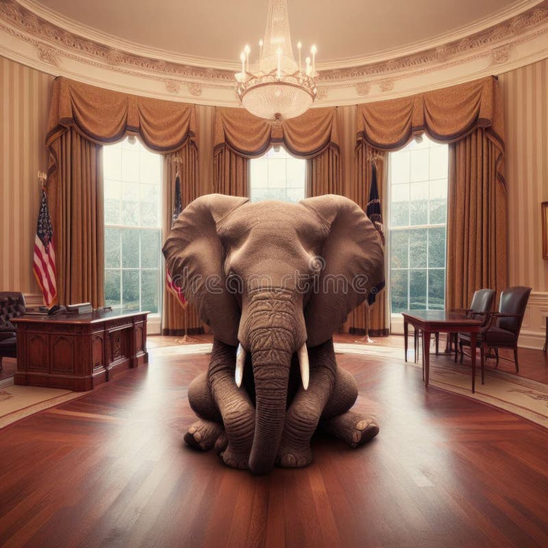Visualisation of the Expression "Elephant in the Room". Stock ...