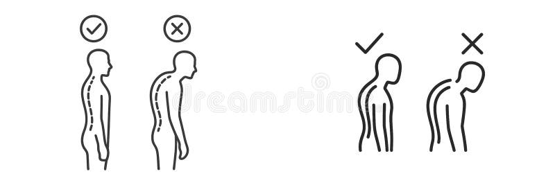 Human Body Ergonomics Stock Illustrations – 232 Human Body Ergonomics ...