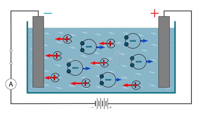 Electrolysis. Experimental Set Up for Electrolysis Stock Vector ...