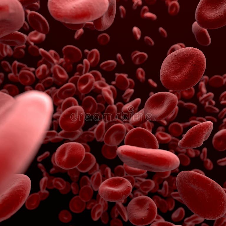 Visualisation Microscopique De Globules Rouges Illustration Stock ...