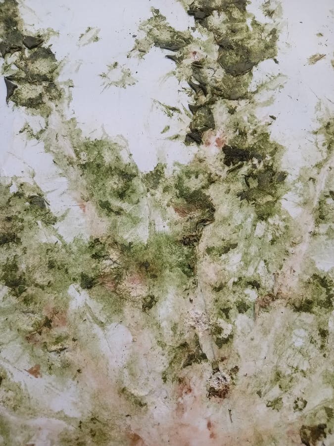 Ecoprint Abstract on White Paper Stock Photo - Image of artwork ...