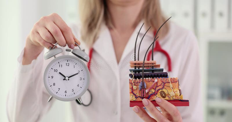 Visualization of the Circadian Rhythm and Skin and Aging Stock Footage ...