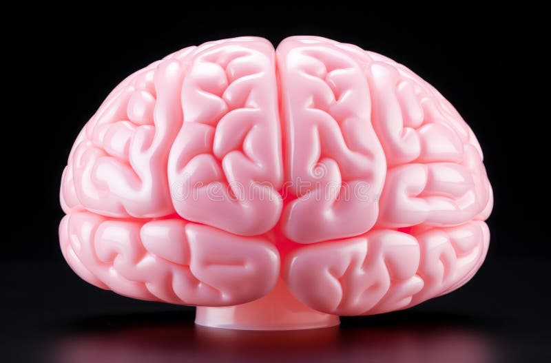 Visualization of Pink Human Brain Stock Photo - Image of brain, think ...