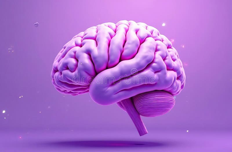 Visualization of the Structure and Shape of the Human Brain in Shades ...