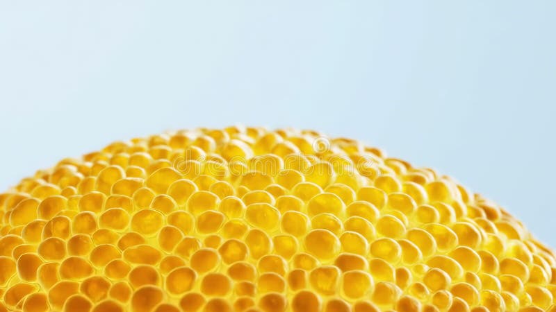 Visualization of Subcutaneous Fat Cells Stock Video - Video of ...