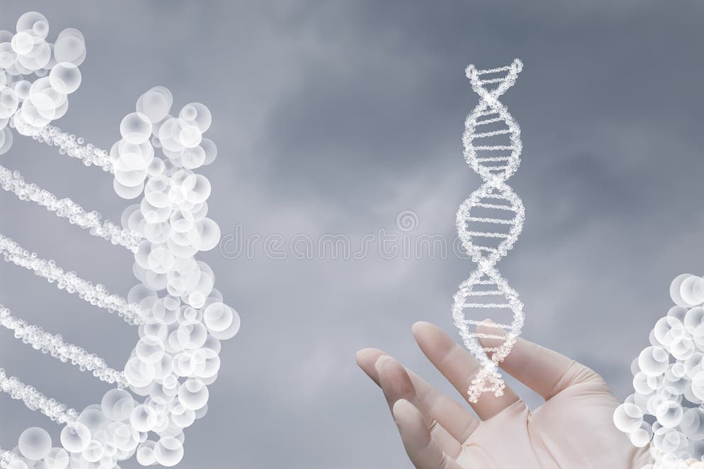 Visualizing DNA Molecules in Scientific Research Stock Image - Image of ...